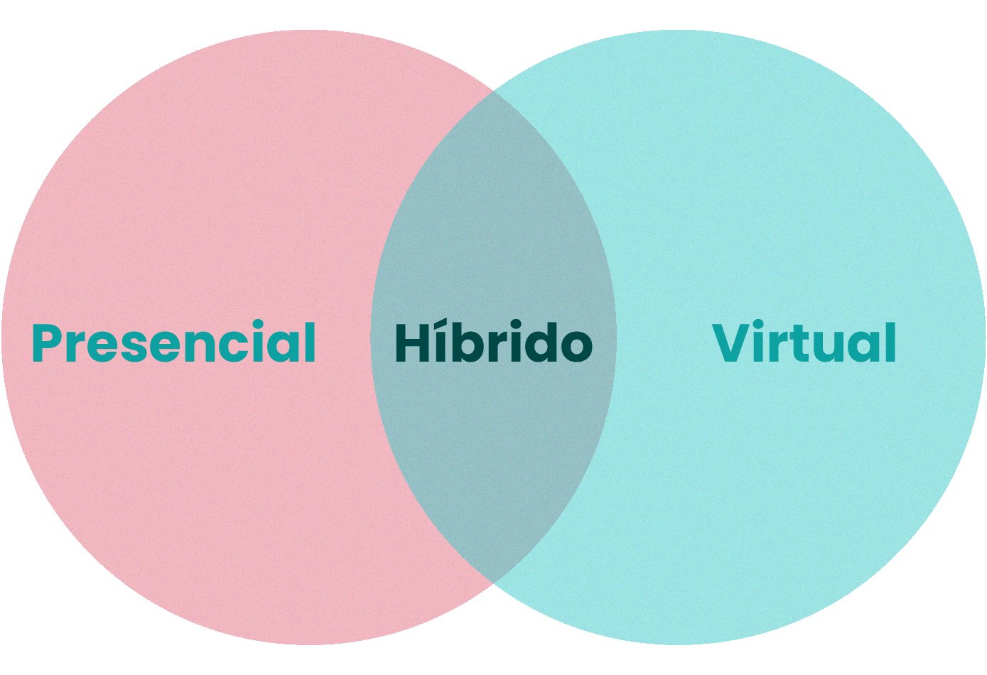 Modalidade de ensino híbrido: definições, benefícios e modelos